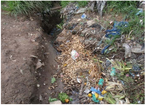 Waste Management in Malawi - Current crisis and how to fix it