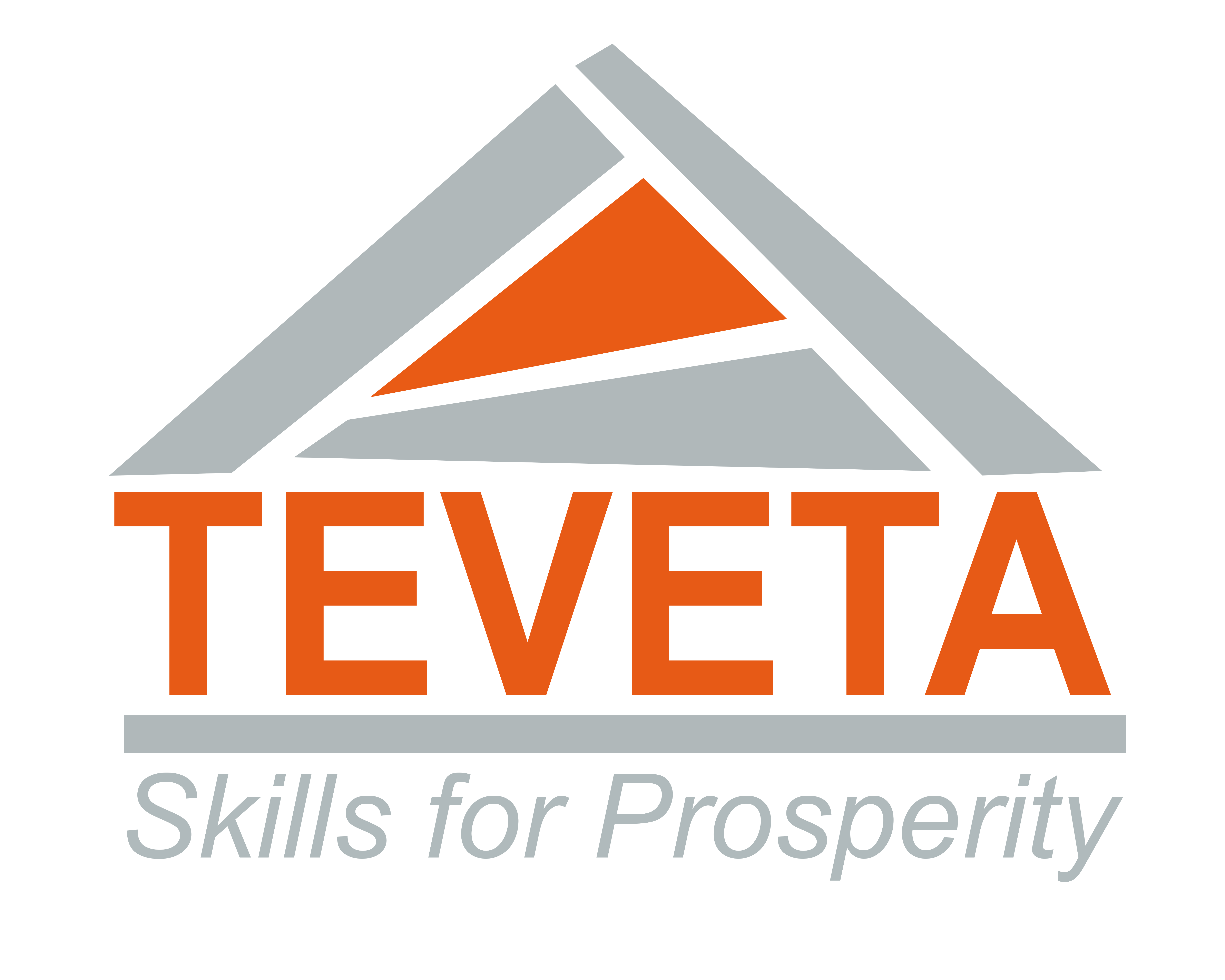 Microfinance Organizations in Malawi - Business Malawi