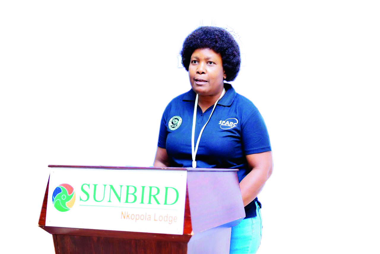 Microfinance Organizations in Malawi - Business Malawi