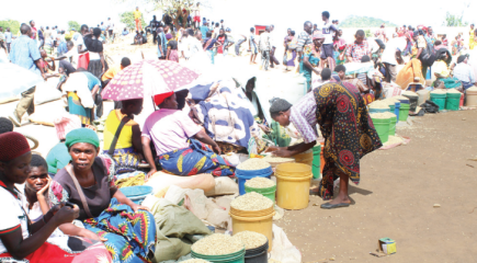 Maize Prices Beyond SGR: Business Implications in Malawi - Business Malawi