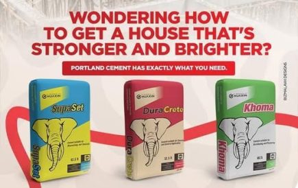 Cementing Growth: Portland Cement Slashes Prices to Stimulate Malawi's ...
